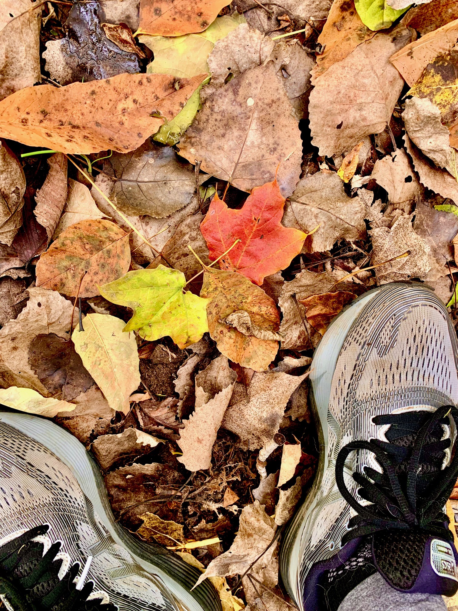 4 Tips on Making Change Beautiful